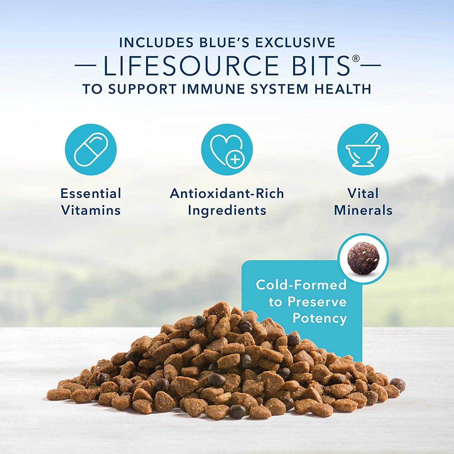 Blue Buffalo Life Protection Formula Puppy Dog Food – Natural Dry