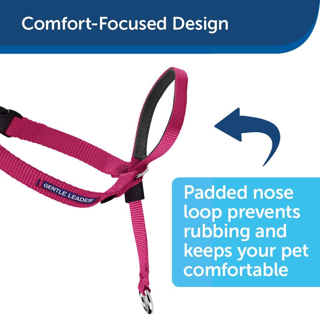 PetSafe Gentle Leader Headcollar, No-Pull Dog Collar