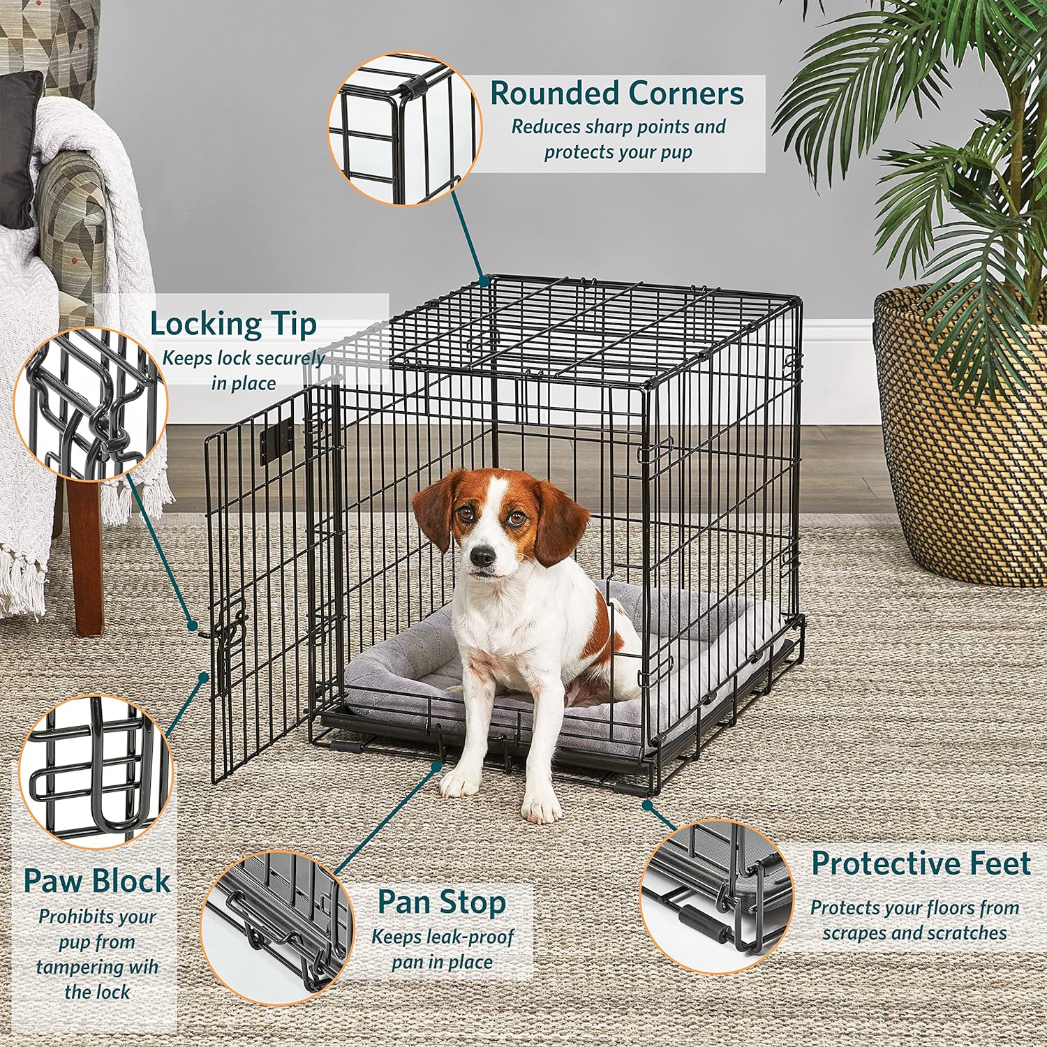 MidWest Homes for Pets Small Dog Crate | Life Stages 24' Folding