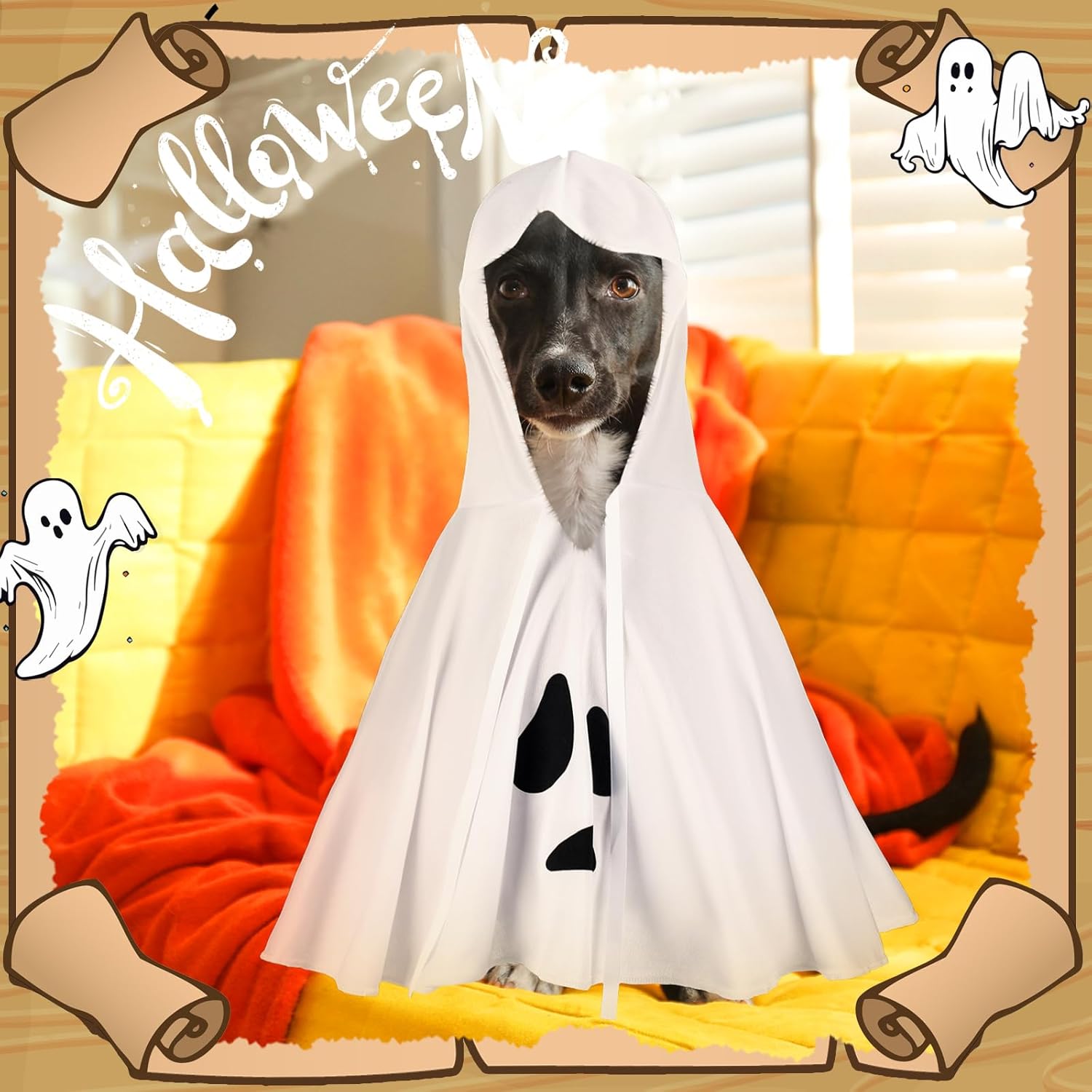 Halloween Ghost Dog Costume White Halloween pet Costume