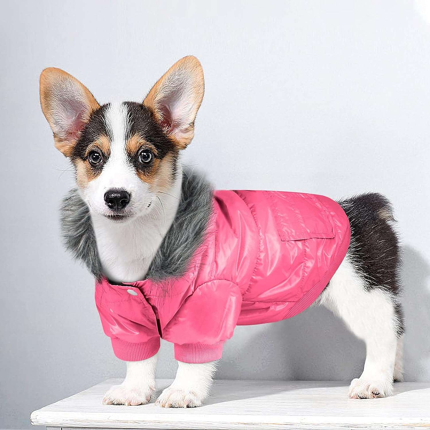 Small Dog Coat for Yorkie, Winter Puppy Jacket with Leash Hole