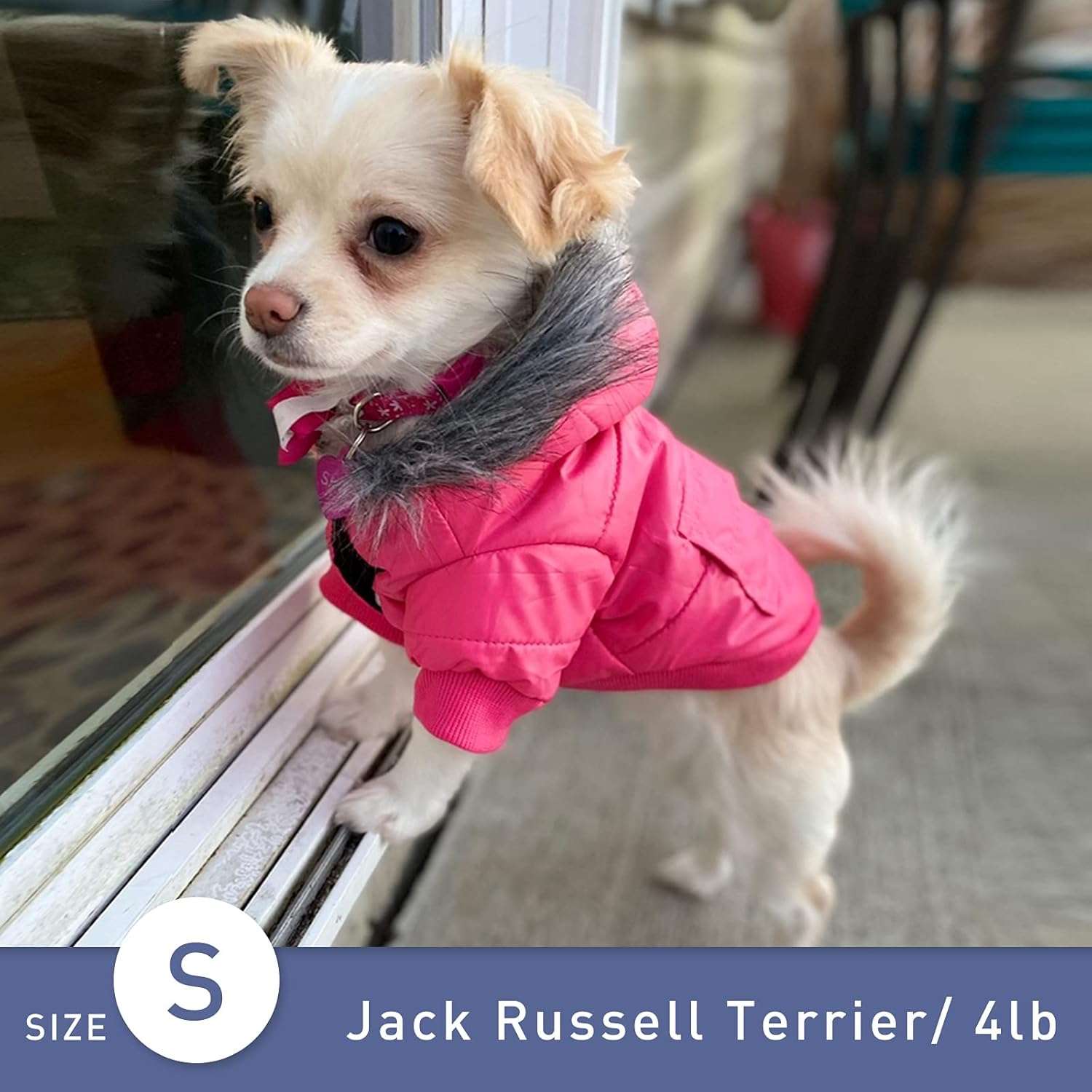 Small Dog Coat for Yorkie, Winter Puppy Jacket with Leash Hole