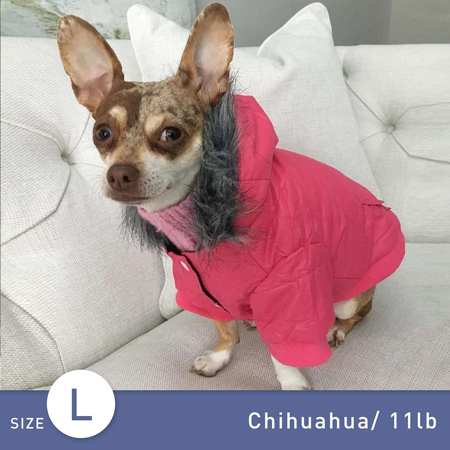 Small Dog Coat for Yorkie, Winter Puppy Jacket with Leash Hole