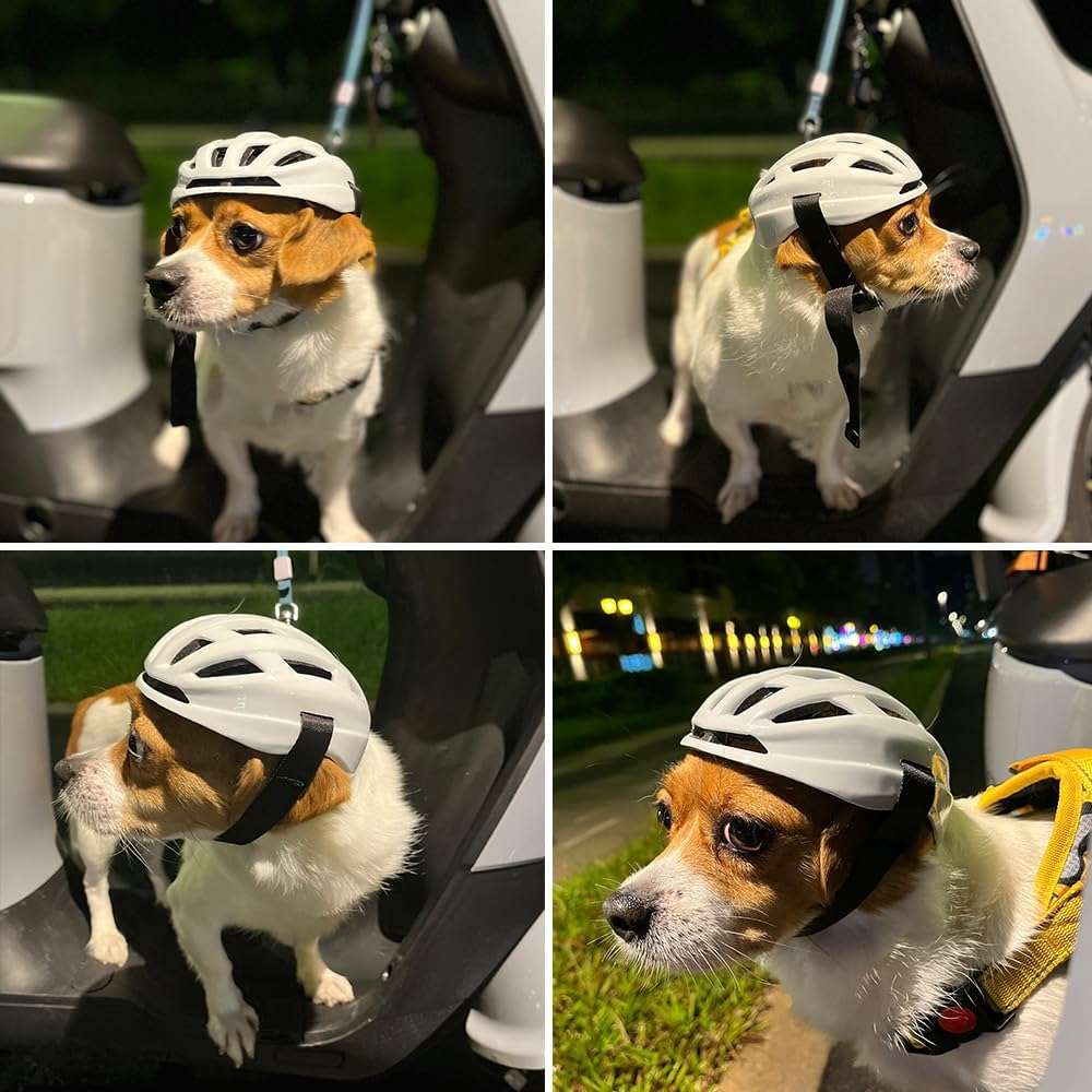 Small Medium Dog Helmet, Pet Helmet for Small Medium Dog
