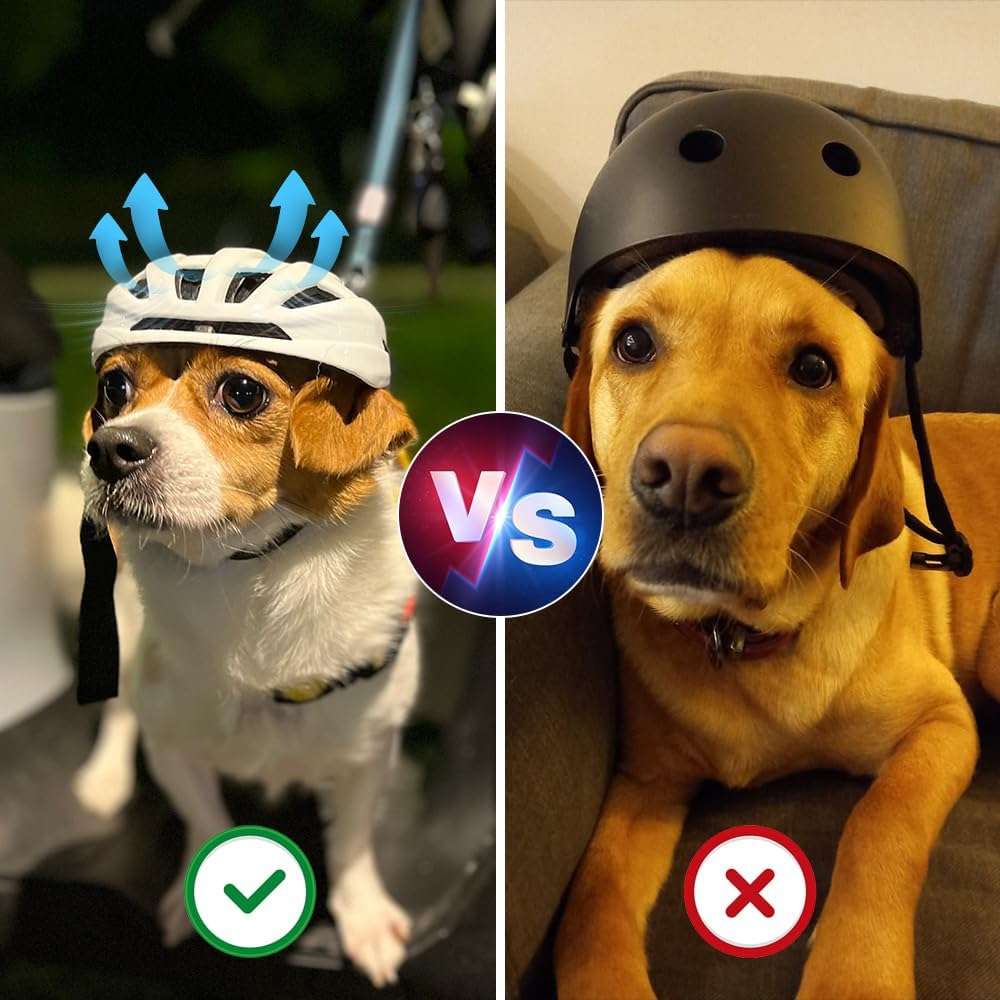 Small Medium Dog Helmet, Pet Helmet for Small Medium Dog