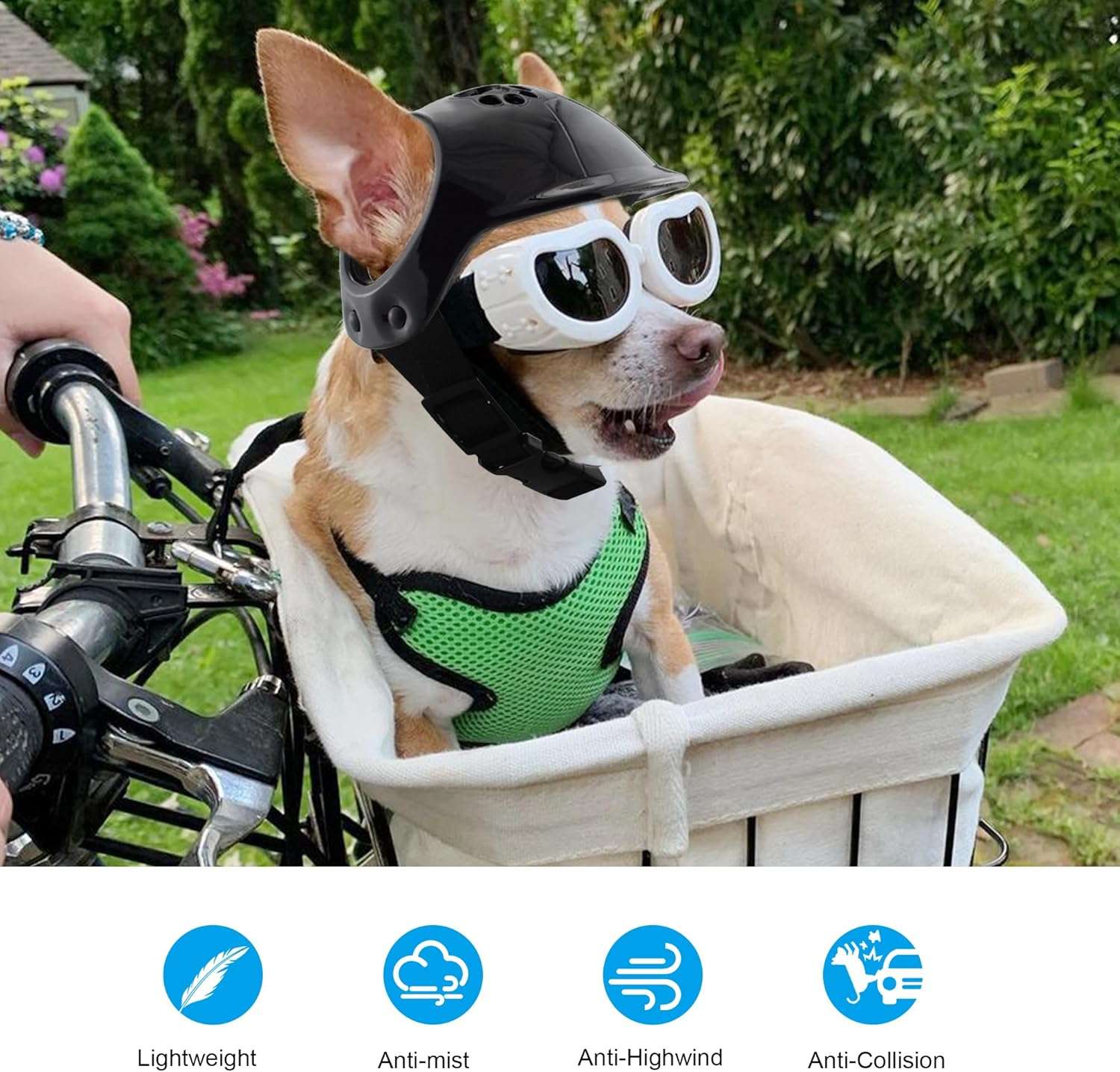 Dog Helmets for Small Dogs with Ear Holes, Hard Safety Pet Dog